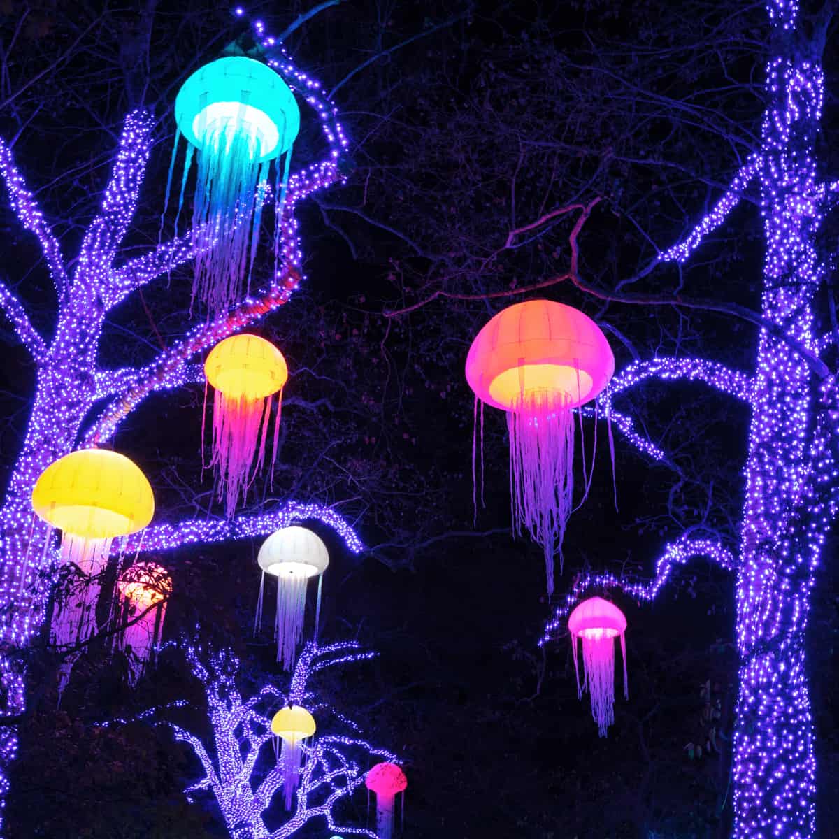 LumiNature at the Philadelphia Zoo: Holiday Lights with a Twist ...