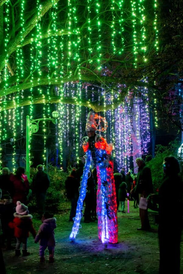 LumiNature at the Philadelphia Zoo: Holiday Lights with a Twist ...