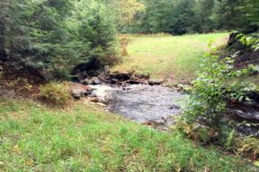 How to Get to Rusty Falls in Loyalsock State Forest - Uncovering PA