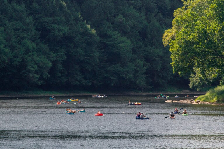 8 Amazing Things to Do in Cook Forest State Park - UncoveringPA