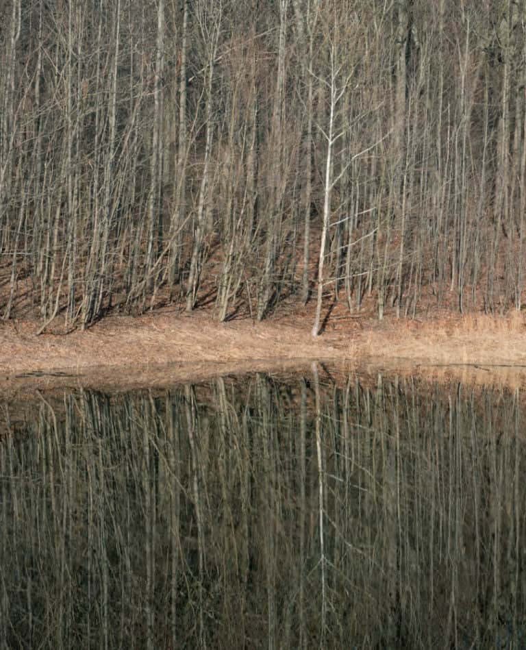 Hiking at Boyd Big Tree Preserve Near Harrisburg - Uncovering PA