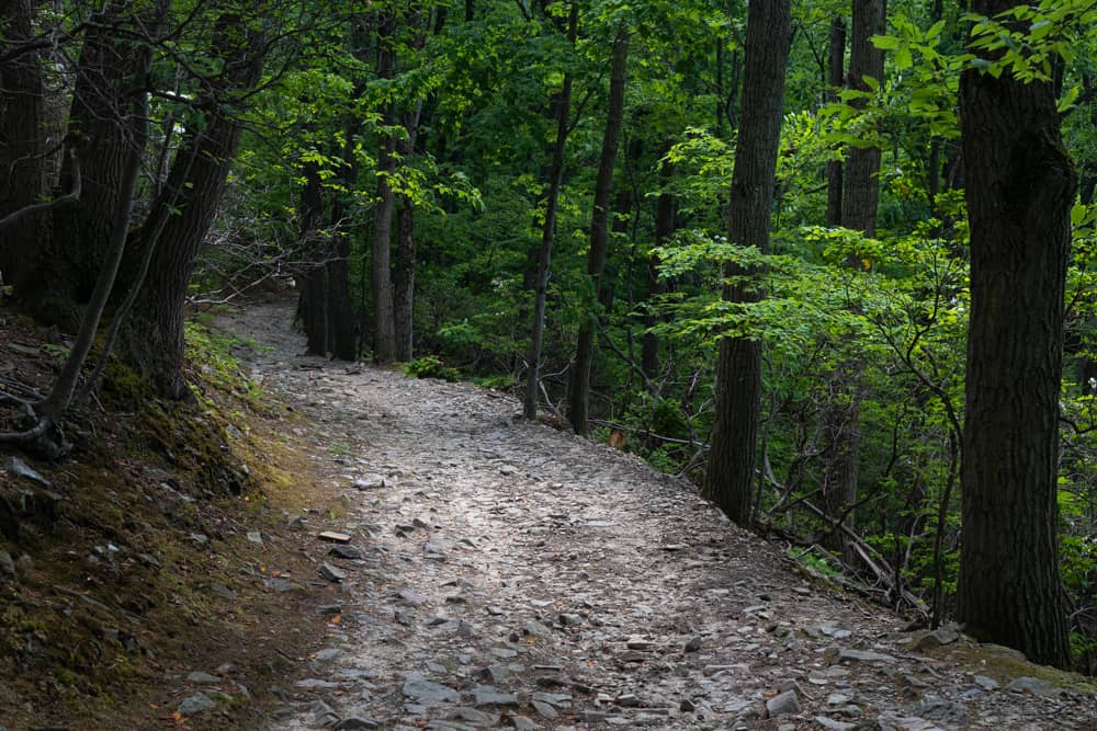 Hiking the Mount Misery Trails to the Abandoned Colonial Springs ...
