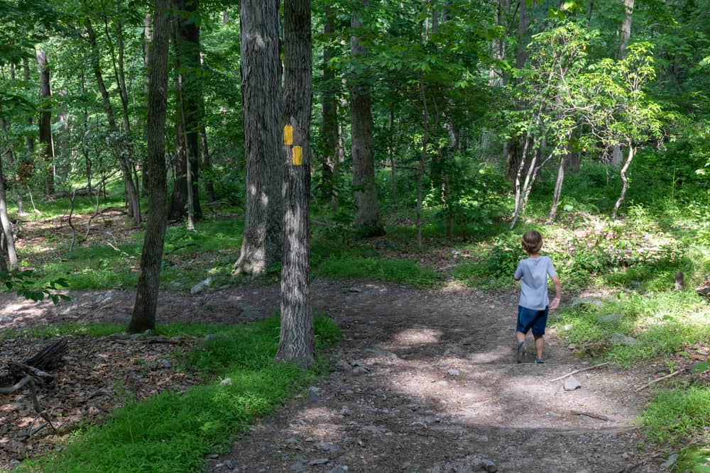 Hiking the Mount Misery Trails to the Abandoned Colonial Springs ...