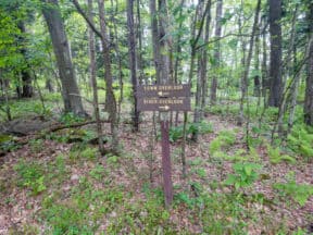 Experiencing the Amazing Tidioute Overlook in Warren County, PA ...