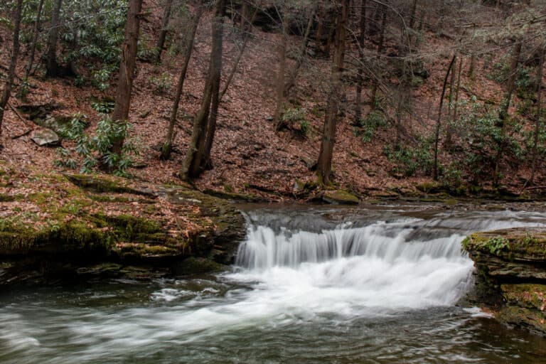 How to Get to Wykoff Run Falls in the Quehanna Wild Area - Uncovering PA