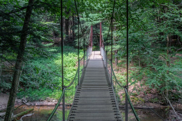 How to Get to the Swinging Bridge in Cook Forest State Park - Uncovering PA