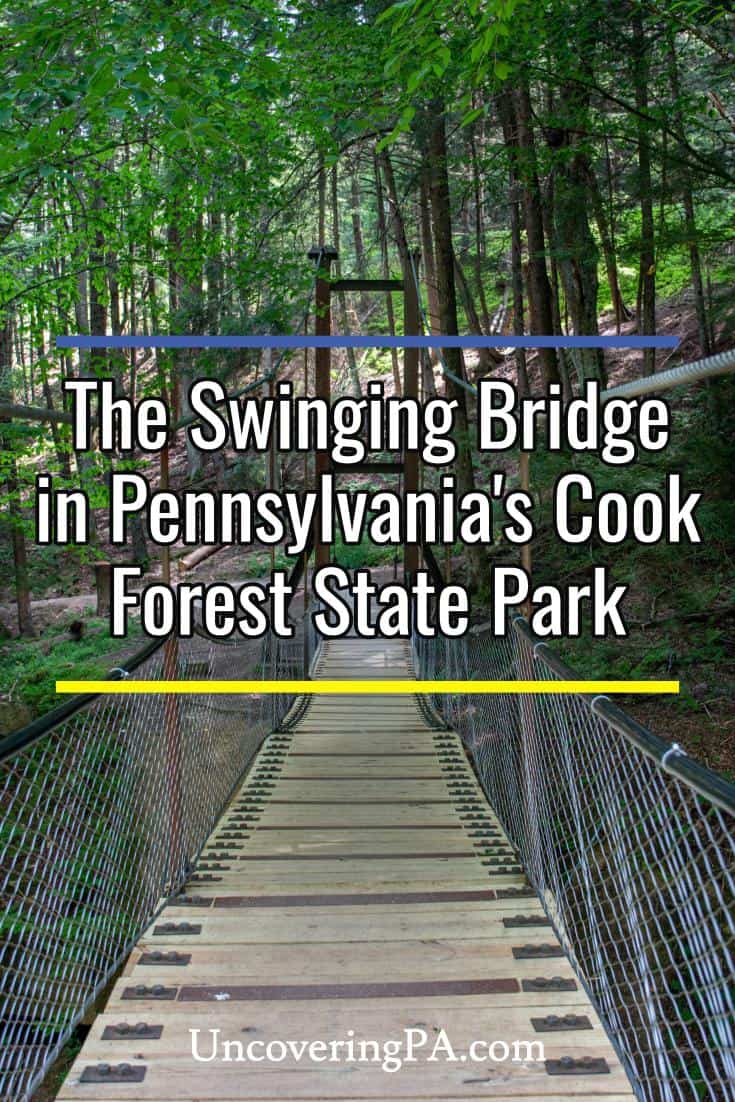 How to Get to the Swinging Bridge in Cook Forest State Park - Uncovering PA