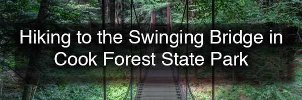 The Best Things to Do in the Pennsylvania Wilds - UncoveringPA