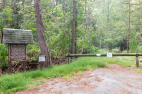 Exploring the Abandoned Camp Michaux World War 2 Prison of War Camp in ...