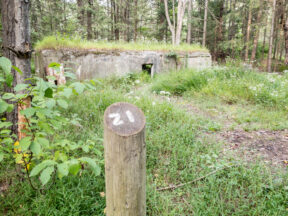 Exploring the Abandoned Camp Michaux World War 2 Prison of War Camp in ...