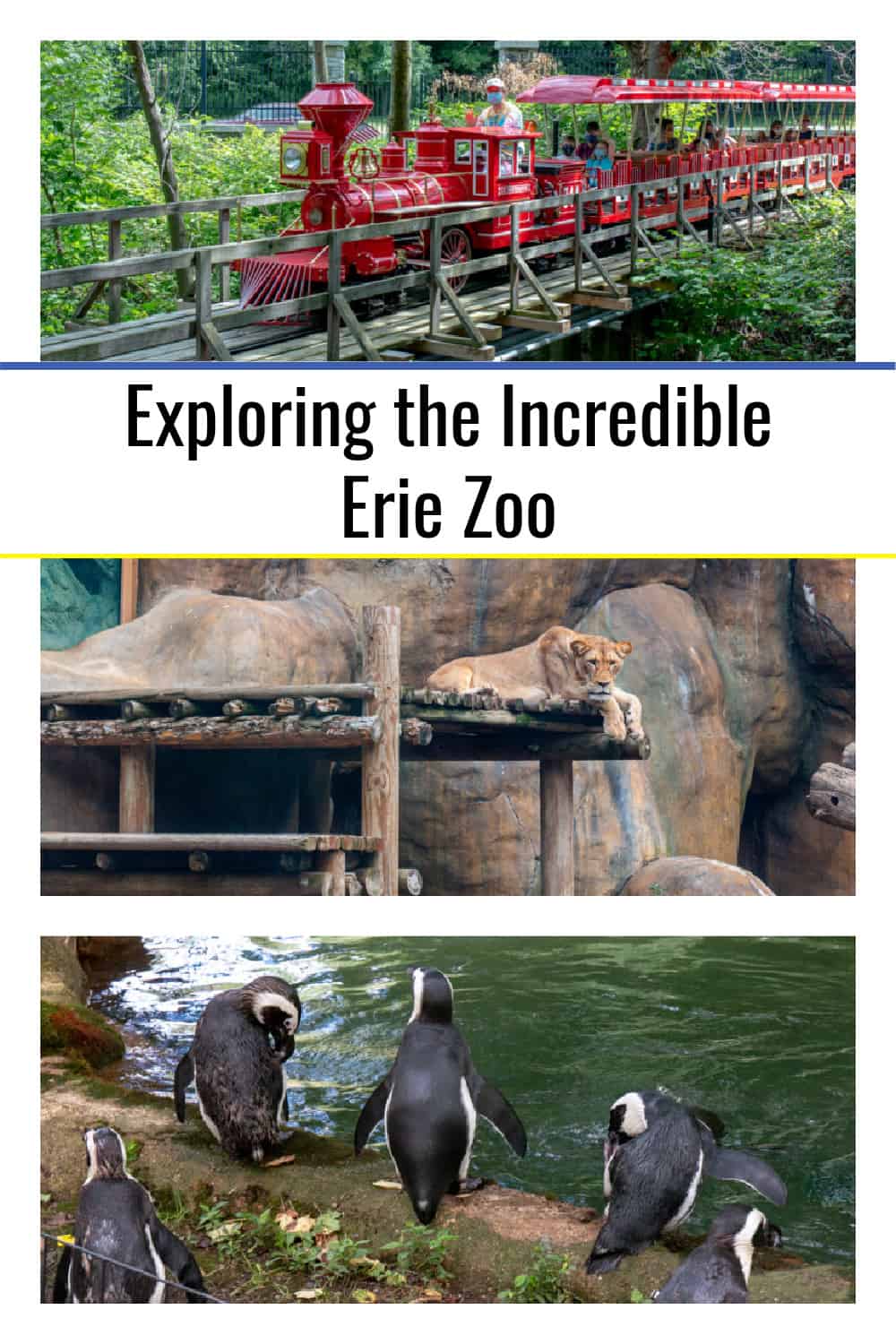Exploring the Incredible Erie Zoo - Uncovering PA
