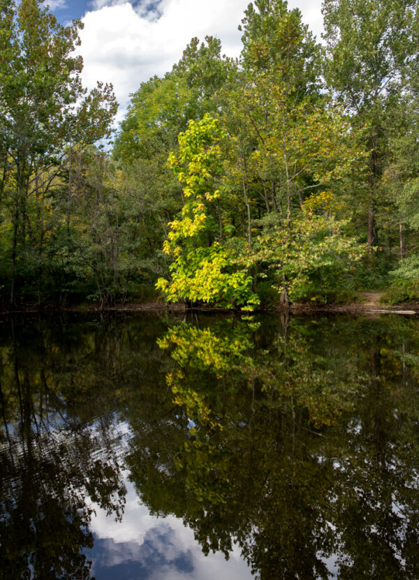 Hiking the Beautiful Trails at Nolde Forest Environmental Education ...