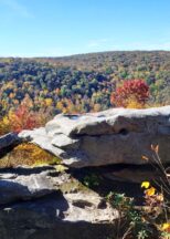 16 of the Most Beautiful Spots to See Fall Foliage in the Laurel ...