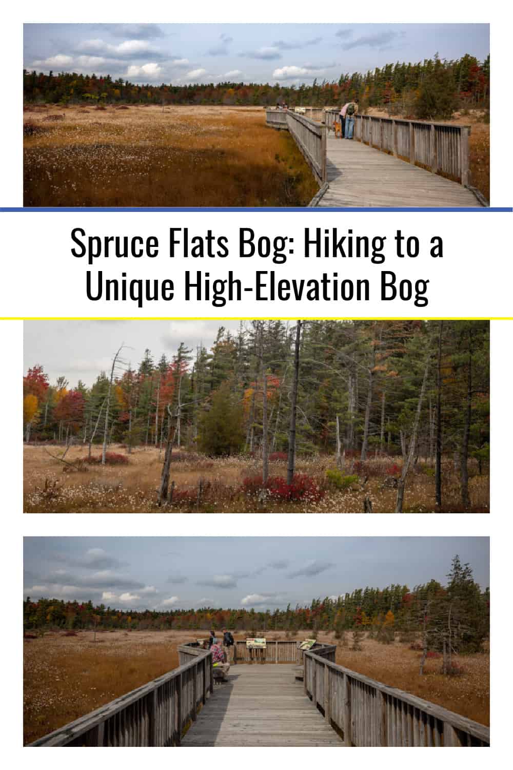 Spruce Flats Bog: Hiking to a Unique High-Elevation Bog - Uncovering PA