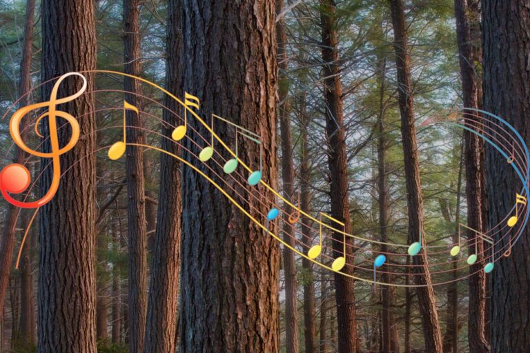 31 Toe-Tapping Songs About Pennsylvania - Uncovering PA