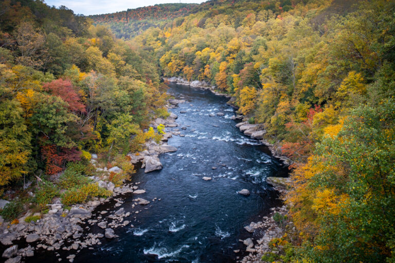 Hiking the Beautiful Ferncliff Peninsula in Ohiopyle State Park ...