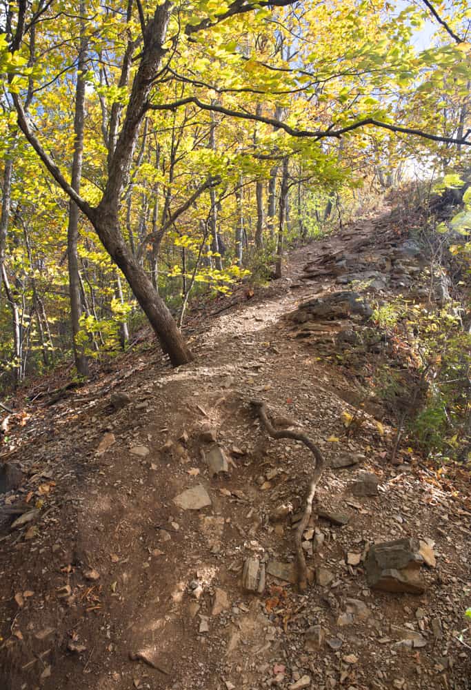 Enjoying the Amazing Views from Chimney Rocks in Hollidaysburg, PA ...