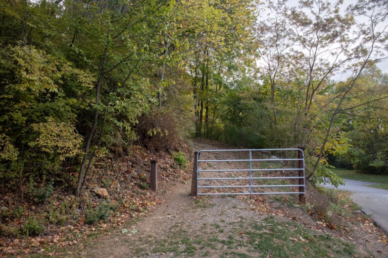 Enjoying the Amazing Views from Chimney Rocks in Hollidaysburg, PA ...