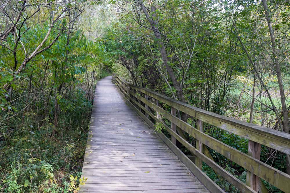 Hiking the Nine Mile Run Trail in Pittsburgh's Frick Park - Uncovering PA