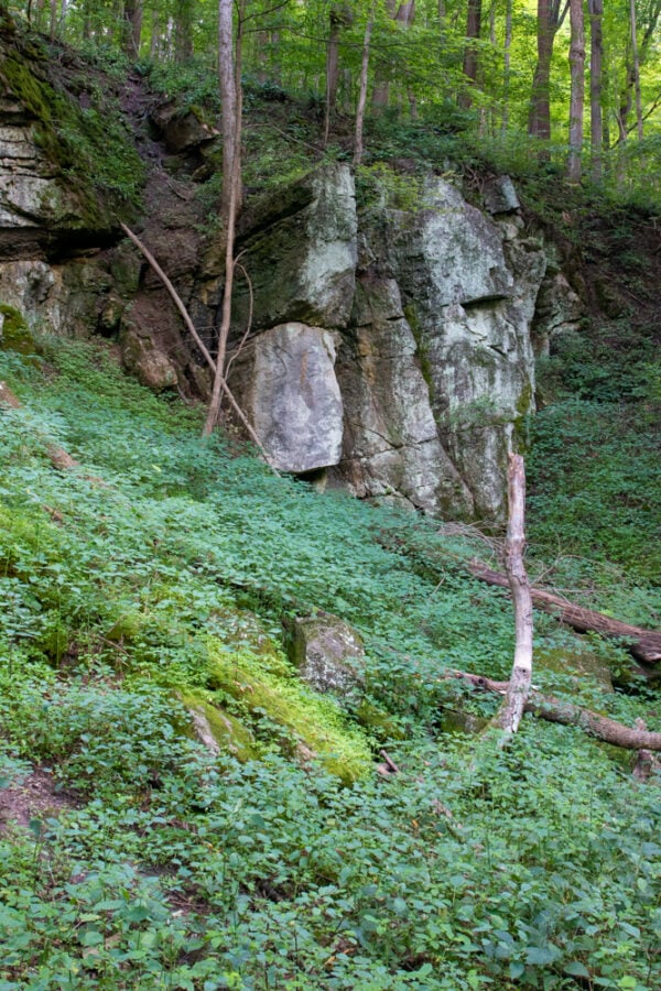 Hiking the Limestone Loop at Canoe Creek State Park in Blair County ...