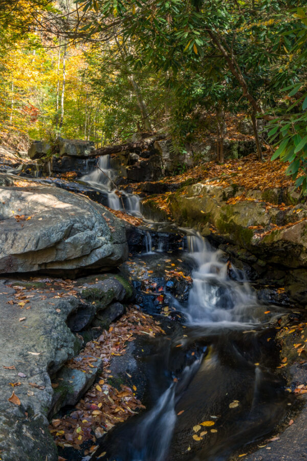 Hiking the Incredible Shades of Death Trail in Hickory Run State Park ...