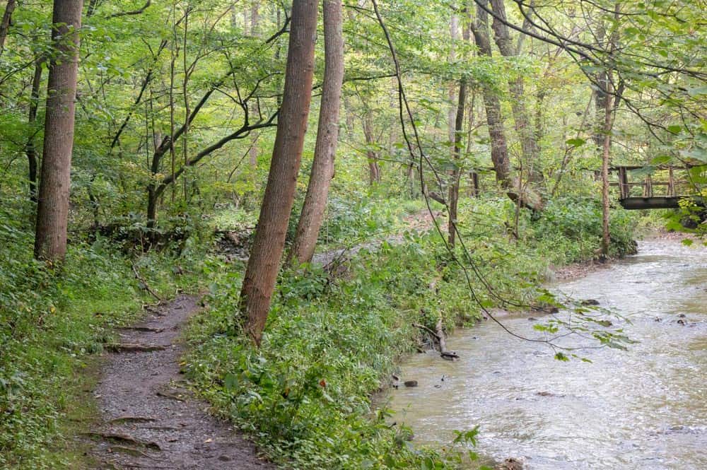 Hiking the Limestone Loop at Canoe Creek State Park in Blair County ...