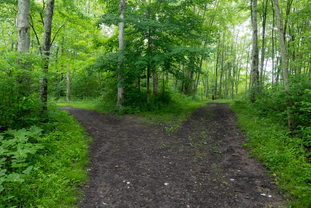 Hiking the Sunken Garden Trail in Moraine State Park - Uncovering PA