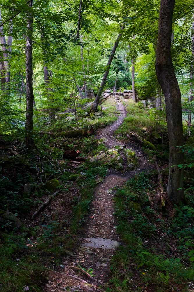 Biking the Little Toby Creek Trail to an Amazing Swinging Bridge ...
