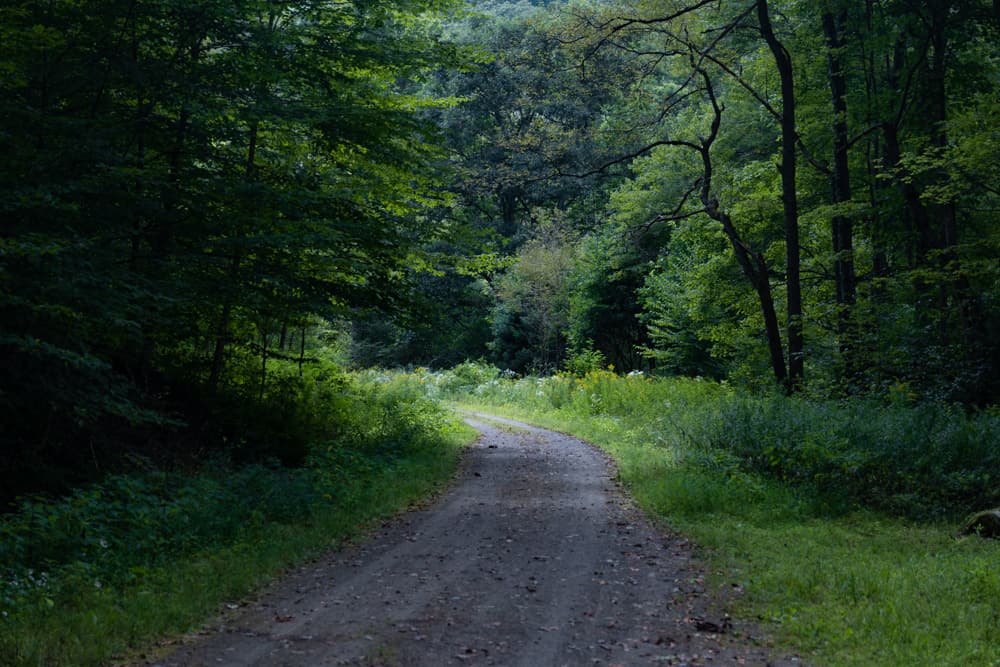 Biking the Little Toby Creek Trail to an Amazing Swinging Bridge ...