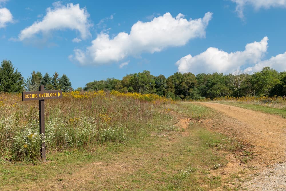 Hiking to the Stunning Overlook Tower in Laurel Hill State Park ...