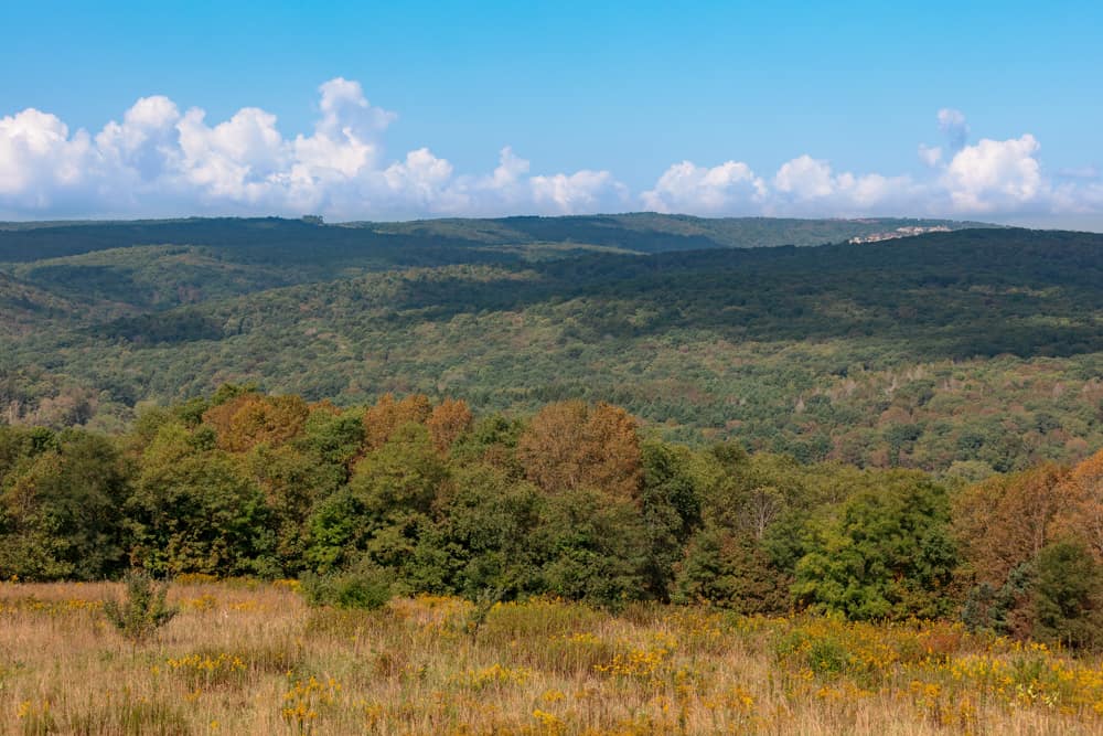Hiking to the Stunning Overlook Tower in Laurel Hill State Park ...