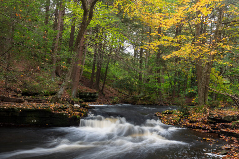 10 Colorful Spots to Visit in the Poconos for Fall Foliage - Uncovering PA