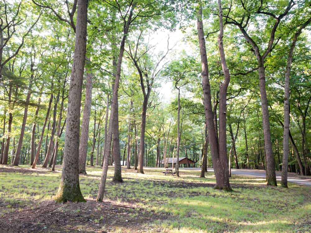 Checking out the Great Views at Shikellamy State Park - Uncovering PA