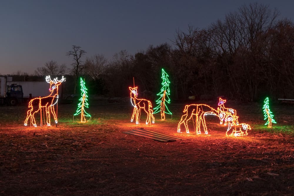 Festive Family Fun at Trail of Lights at Country Creek Farm in ...