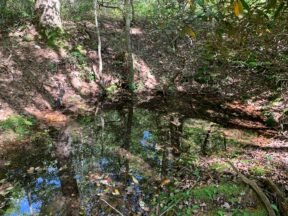 Hiking Through the Beautiful and Diverse Shingletown Gap in State ...