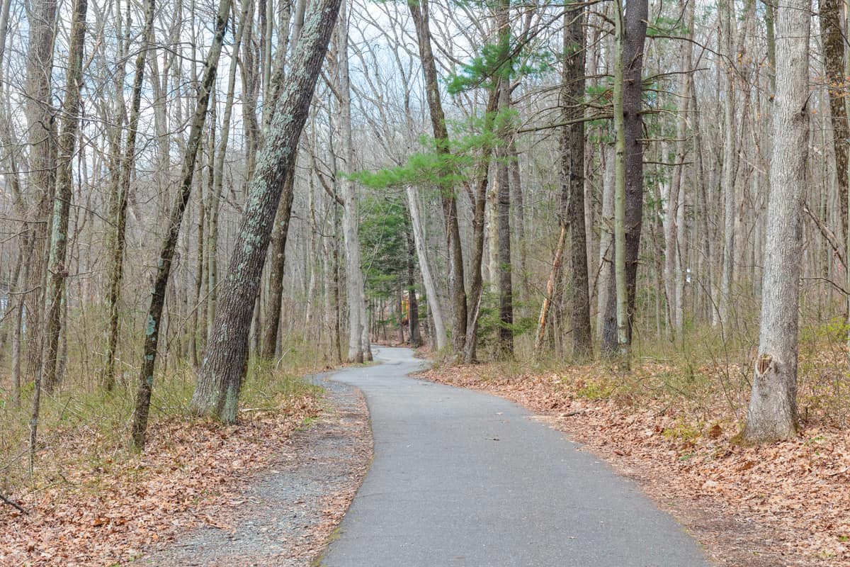 Hiking Through Locust Lake State Park in Schuylkill County - Uncovering PA