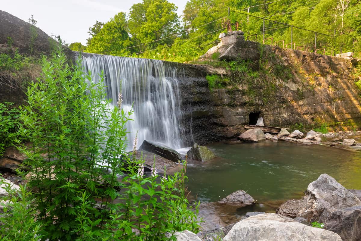 Hiking the Hassen Creek Nature Trail at Fogelsville Dam Park Near ...