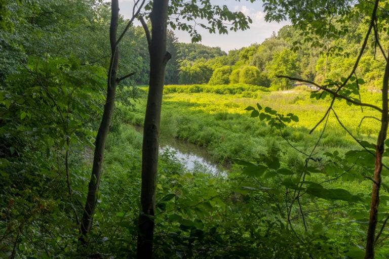 Hiking the Hassen Creek Nature Trail at Fogelsville Dam Park Near ...