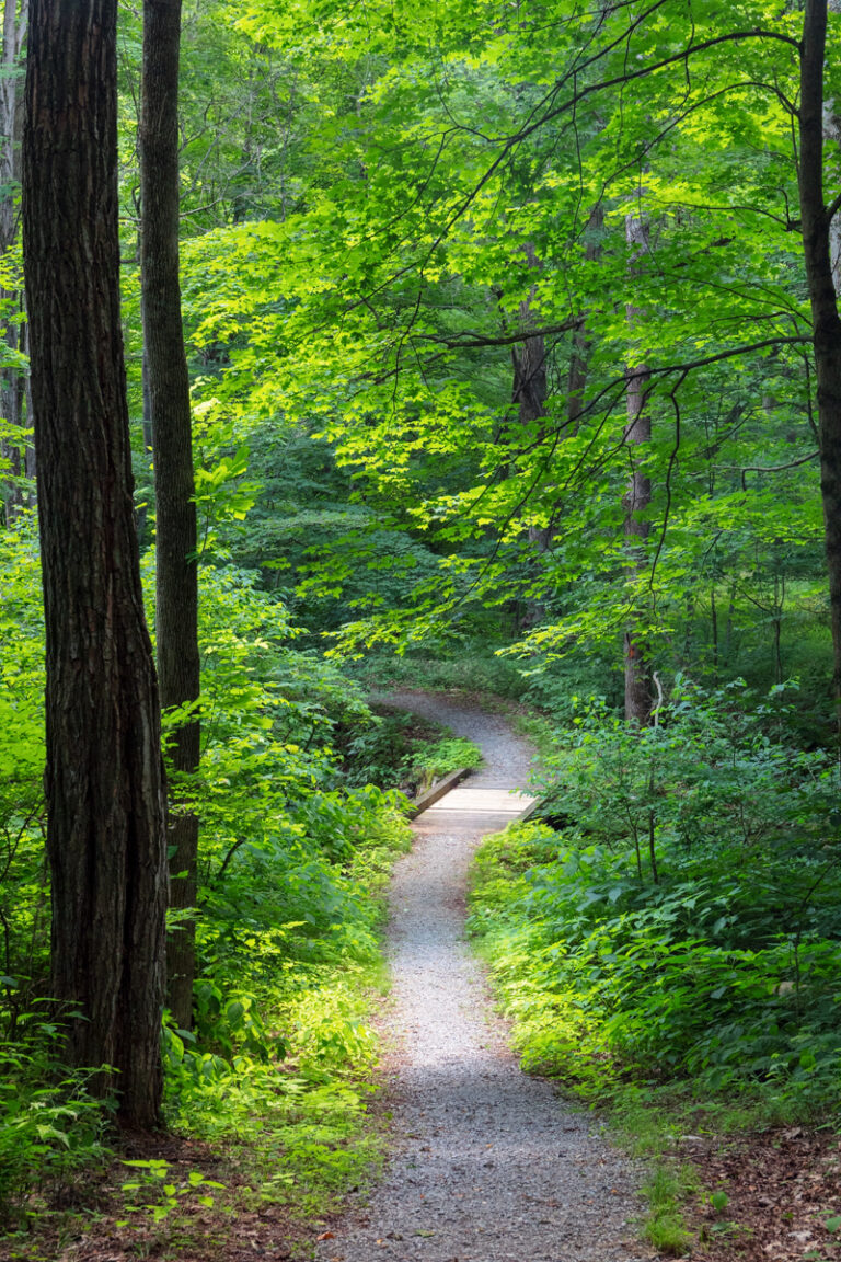 How to Get to the Lost Children of the Alleghenies Monument in Bedford ...
