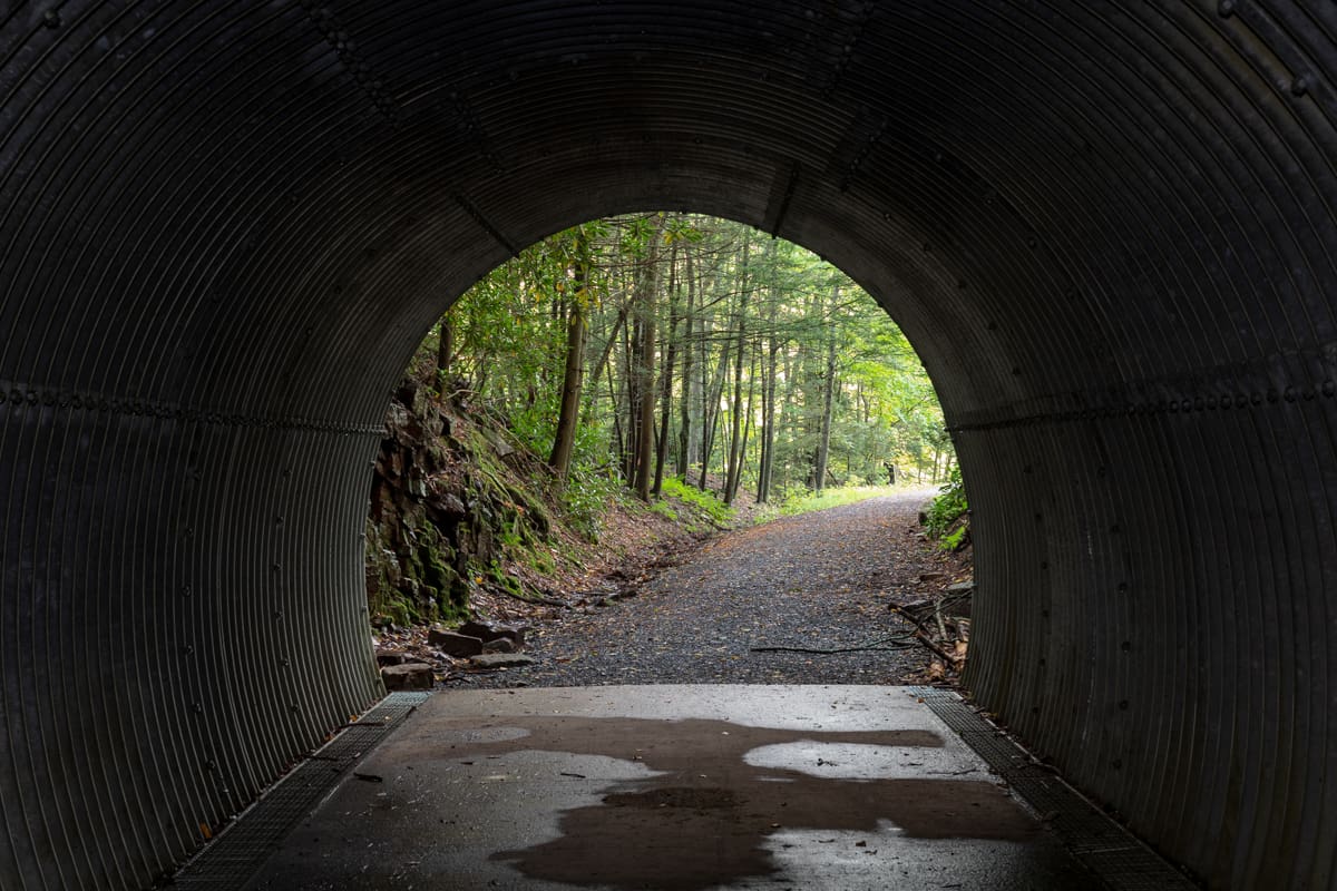 How to Get to Poe Paddy Tunnel in Bald Eagle State Forest - Uncovering PA