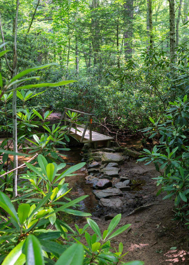 Hiking Through the Alan Seeger Natural Area in Rothrock State Forest ...