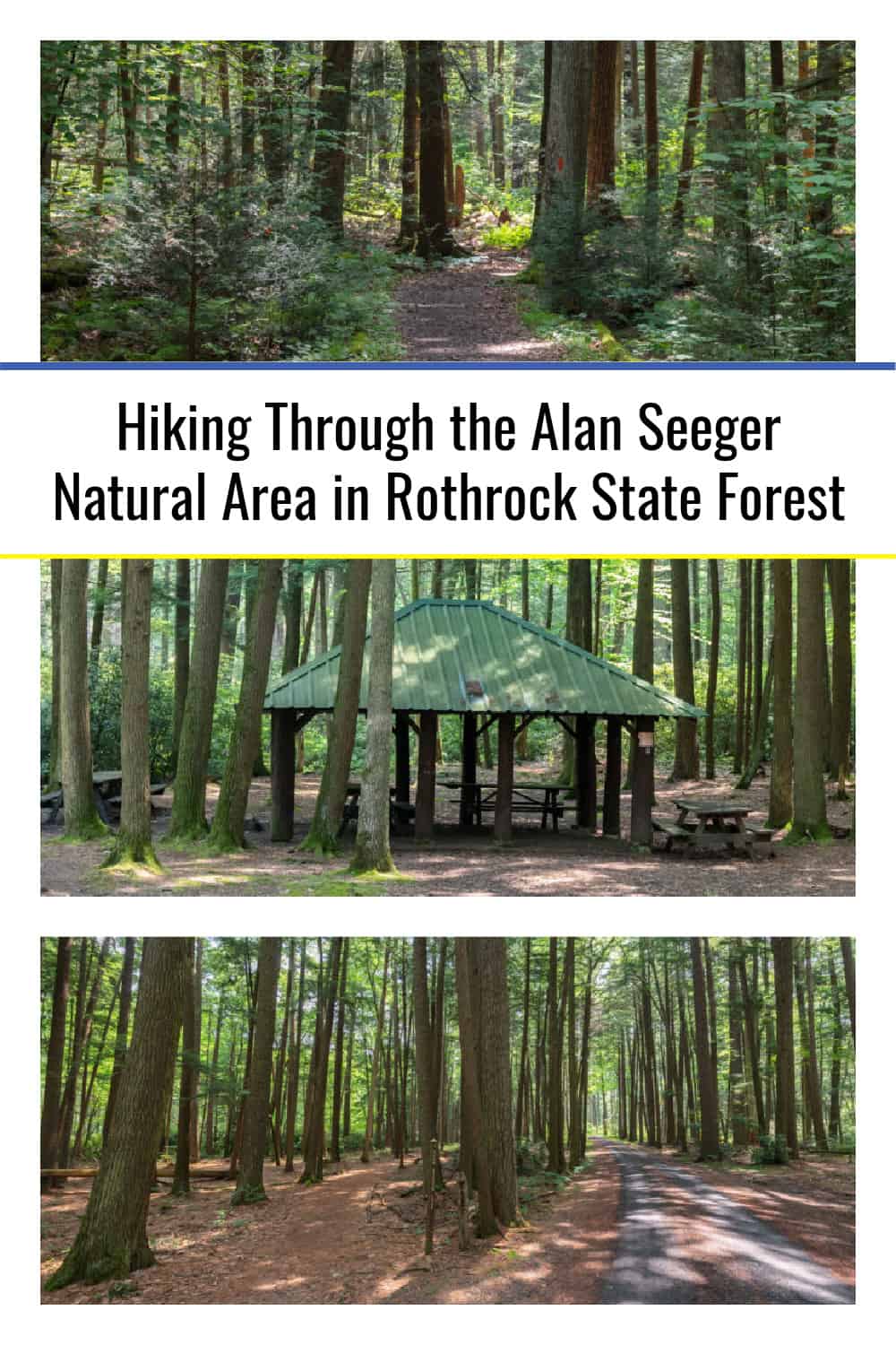 Hiking Through the Alan Seeger Natural Area in Rothrock State Forest ...