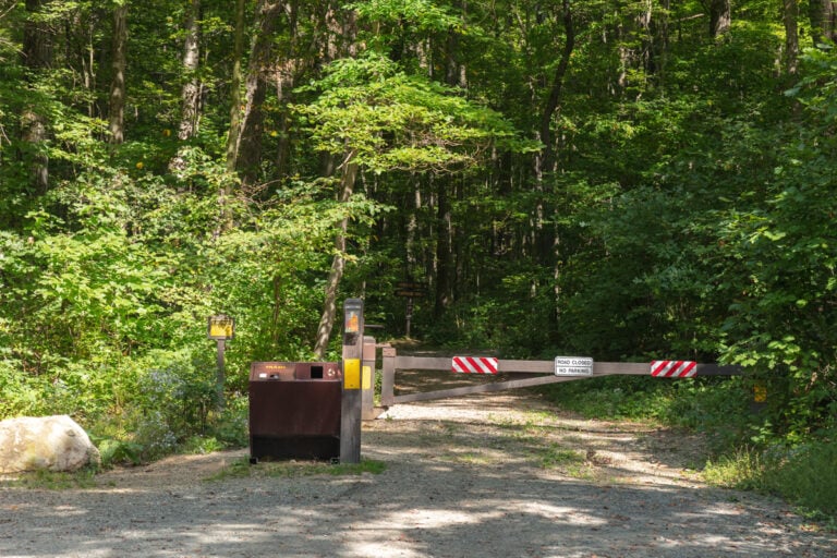 Hiking to Jones Mill Run Dam in Laurel Hill State Park - Uncovering PA