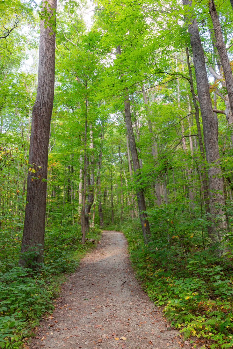 Hiking to Jones Mill Run Dam in Laurel Hill State Park - Uncovering PA