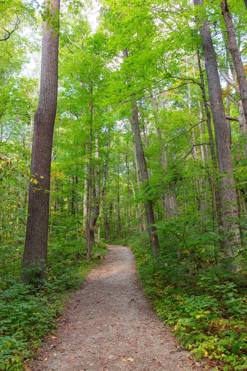 Hiking to Jones Mill Run Dam in Laurel Hill State Park - Uncovering PA
