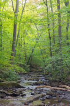 Hiking to Jones Mill Run Dam in Laurel Hill State Park - Uncovering PA