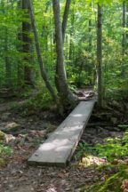 Hiking to Jones Mill Run Dam in Laurel Hill State Park - Uncovering PA