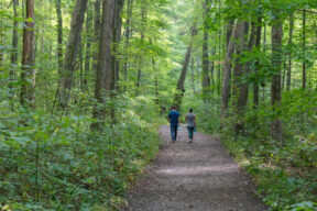 Hiking to Jones Mill Run Dam in Laurel Hill State Park - Uncovering PA