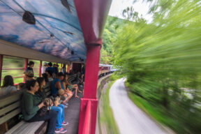 Riding the Lehigh Gorge Scenic Railway from Jim Thorpe, PA - Uncovering PA