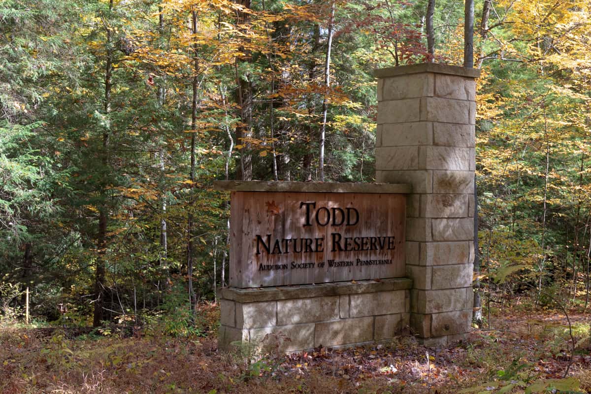 Hiking Through the Todd Nature Reserve in Butler County, PA - Uncovering PA